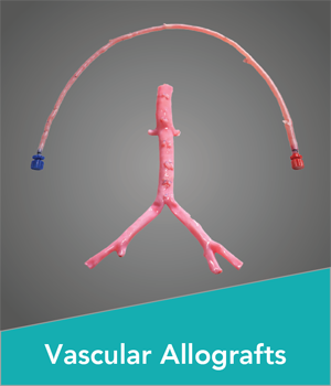 CryoLife, Providing State of the Art Biomedical Services