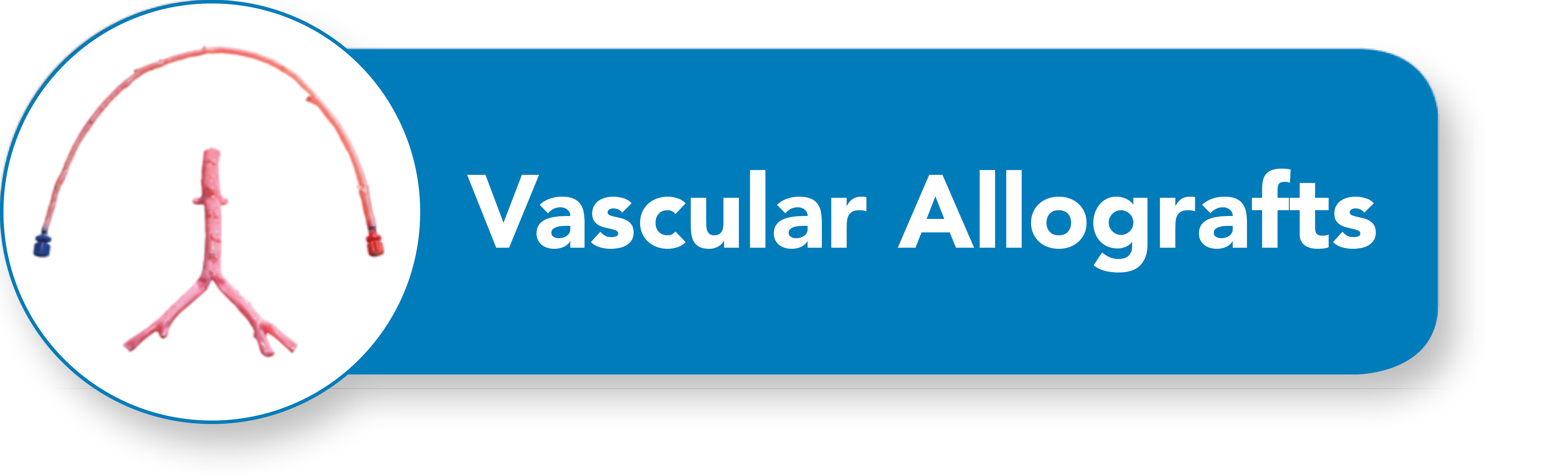VEITH-2021 - CryoLife, Inc.