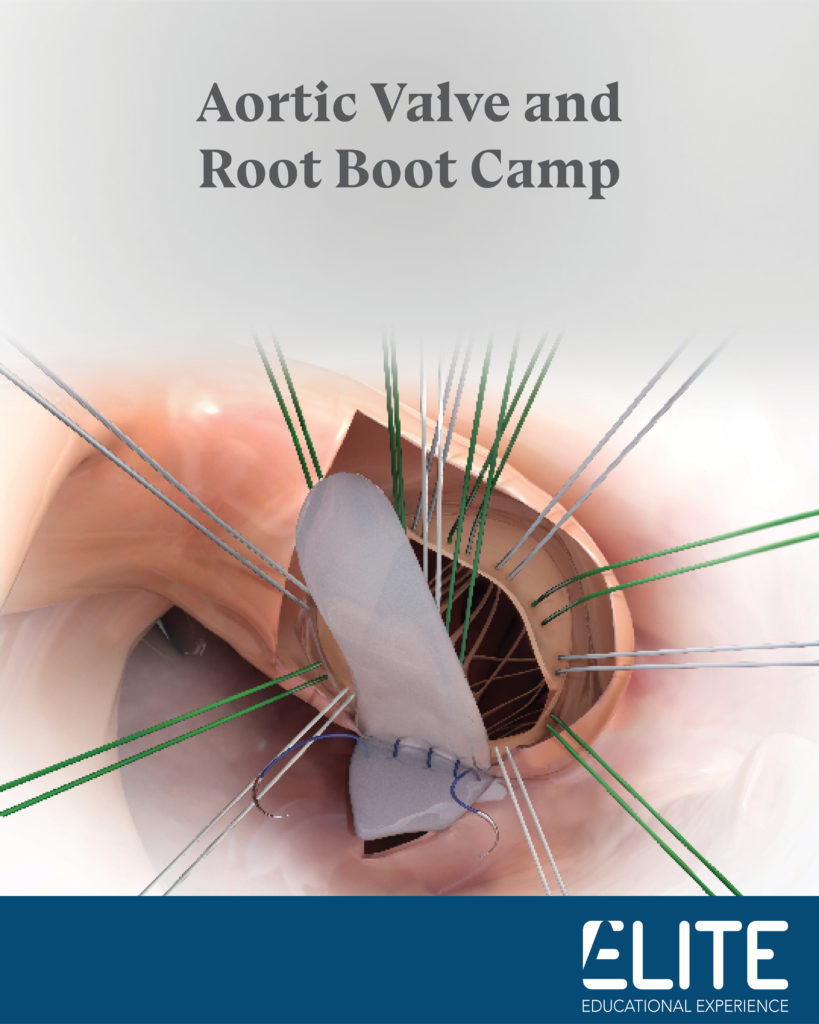 Aortic Valve and Root Boot Camp - CryoLife, Inc.